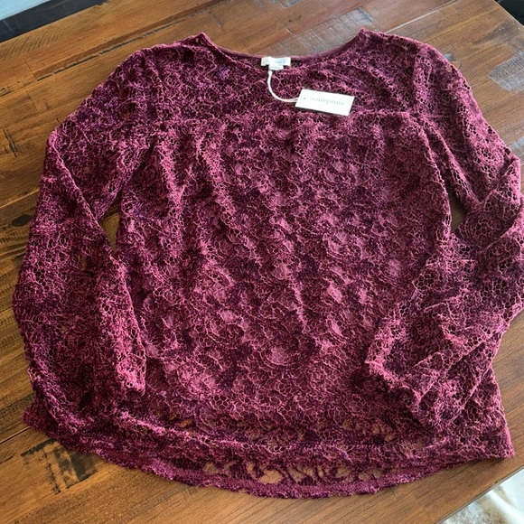 Sundance | Tops | Nwt Sundance Lace Blouse | Poshmark
